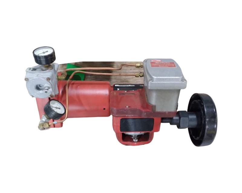 Masoneilan 35-35212 Camflex®II Pneumatic Valve Control